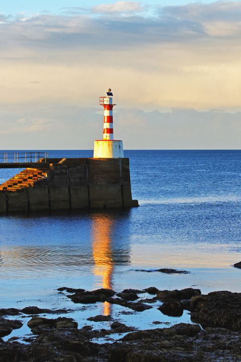 The Lighthouse At Amble - JT54Photography - Photography, Places ...