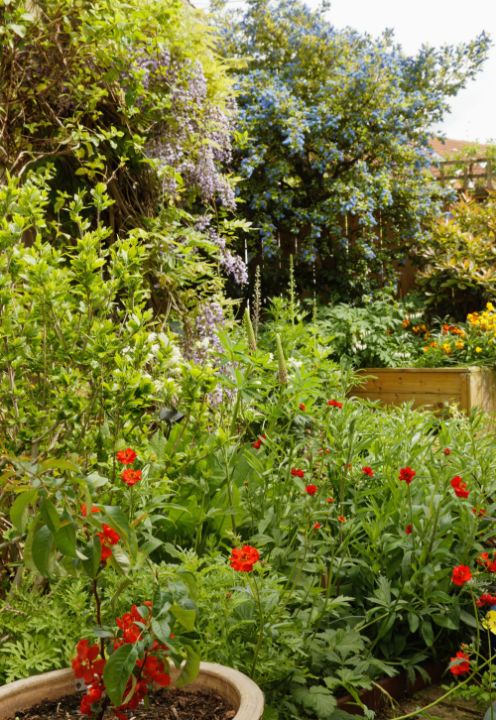 Late Spring Garden - JT54Photography - Photography, Flowers, Plants ...