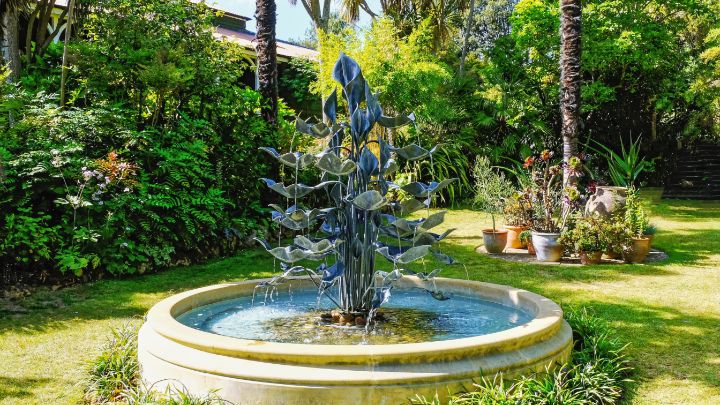 Water Feature - JT54Photography - Photography, Flowers, Plants, & Trees ...