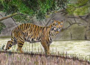 BIDROHI ROY - Paintings & Prints, Digital Art & AI, Drawings & Illustration