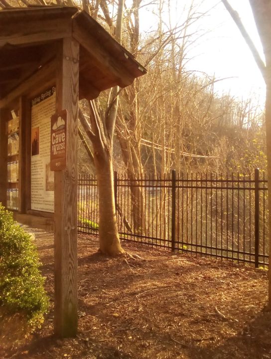 Verginia - Dcatcdog - Photography, Places & Travel, United States ...