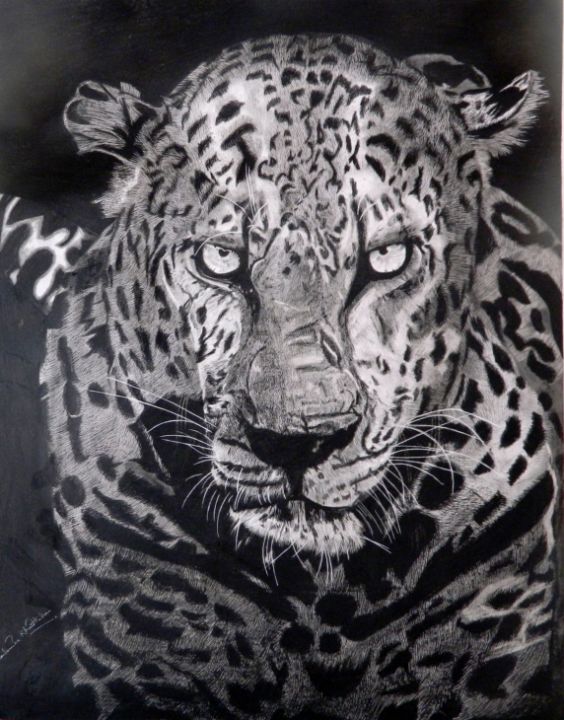 Leopard - Visual Blitz - Paintings & Prints, Animals, Birds, & Fish ...