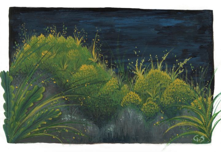 Mossy stones - Blossoms - Paintings & Prints, Landscapes & Nature ...