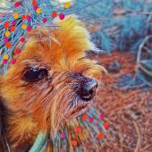 Edwin Jerome - Photography