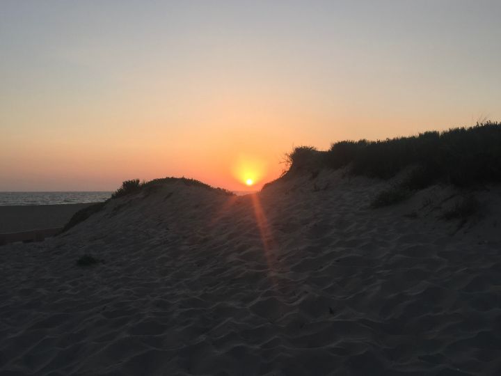 Beach Dunes Sunset - Deanna Pendrick Art & Photography - Photography ...