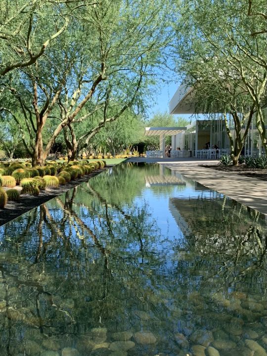 Infinity Pond - Deanna Pendrick Art & Photography - Photography ...