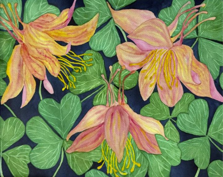 Painting Watercolor Flower Columbine - Watercolor Paintings Studio - Paintings & Prints, Flowers ...