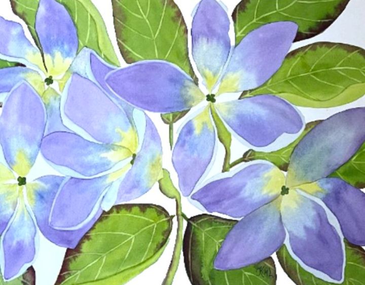 Plumeria Flower Blue Purple Yellow - Watercolor Paintings Studio ...
