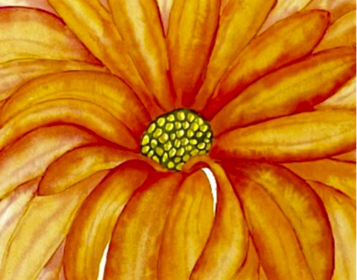 Watercolor Flower Gerbera Daisy - Watercolor Paintings Studio ...