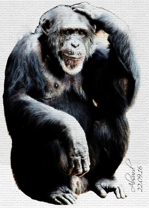 ABSURD - Paintings & Prints