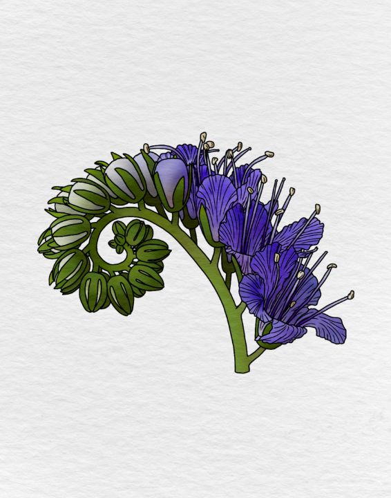 Blue Curls - paperandpixels - Digital Art & AI, Flowers, Plants ...