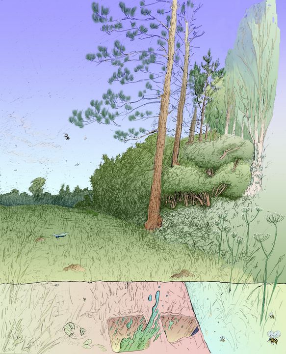 Fields - P R Edwards - Paintings & Prints, Fantasy & Mythology ...