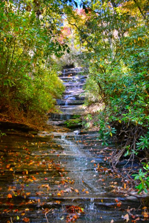 Angel Falls Georgia - Lisa Wooten Photography - Photography, Landscapes ...