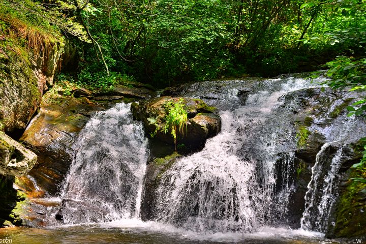 Cupid Falls Young Harris Georgia 2 - Lisa Wooten Photography ...