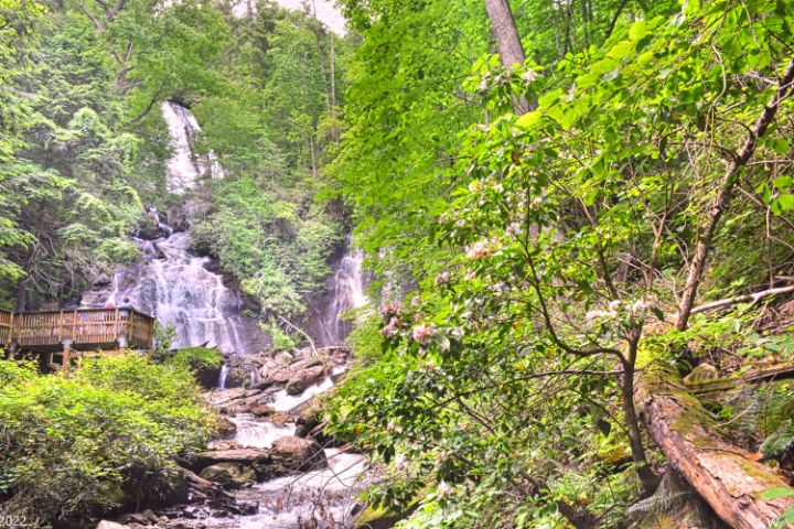 Anna Ruby Falls Up Ahead - Lisa Wooten Photography - Photography ...
