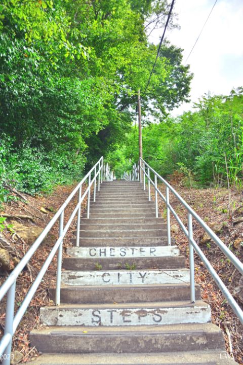 Chester City Steps Vertical - Lisa Wooten Photography - Photography ...