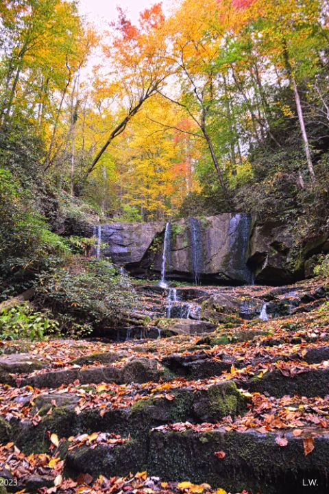 Virginia Hawkins Falls Pickens Cnty - Lisa Wooten Photography ...