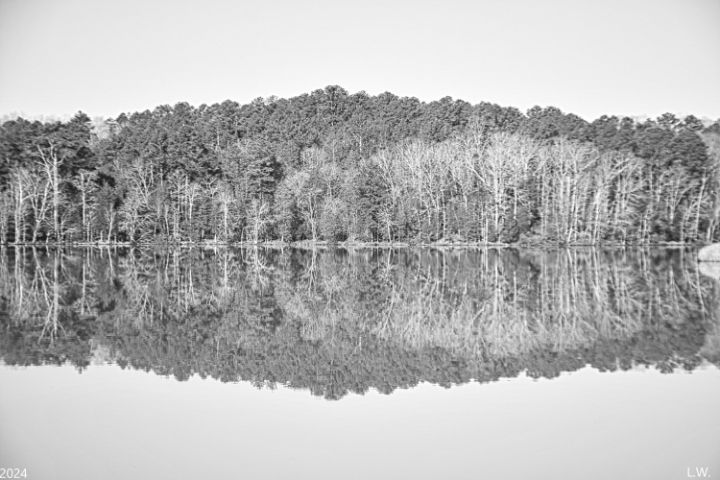 Right Side Up Or Upside Down Lake BW - Lisa Wooten Photography ...