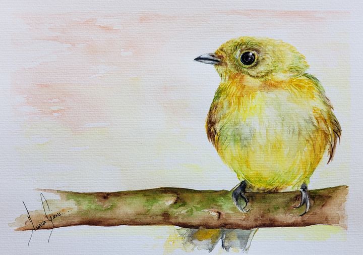 Whiskered Flycatcher - Tania Gine - Paintings & Prints, Animals, Birds ...