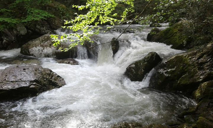 Appalachian rivers. - Nature - Photography, Landscapes & Nature ...