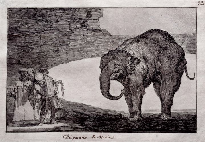 Francisco Goya~Animal Folly - Old master - Paintings & Prints, Ethnic ...