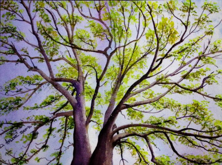 Tree at Dusk - Watercolor - Deborah Arline - Paintings & Prints ...