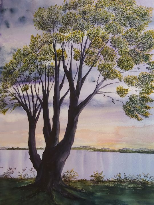 Madrona on Magnolia Bluff - Deborah Arline - Paintings & Prints ...