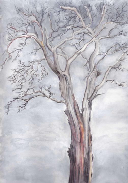 Dying Madrona on Magnolia Bluff I - Deborah Arline - Paintings & Prints ...