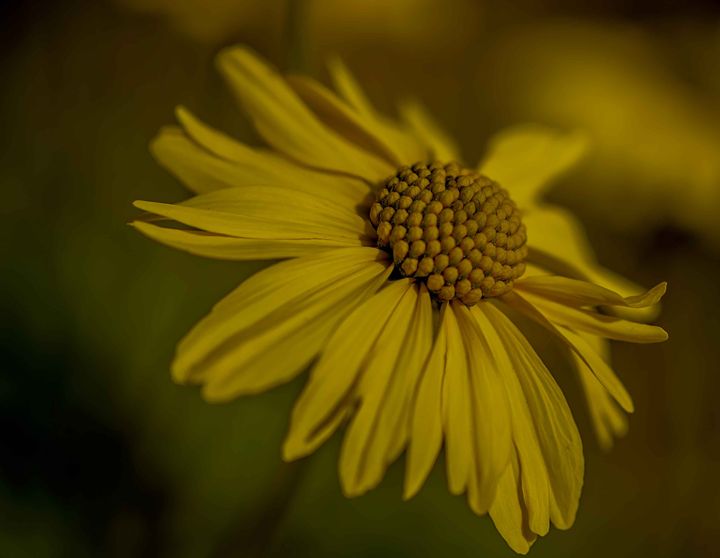 Blur - Christopher Warren Sr. - Photography, Landscapes & Nature ...