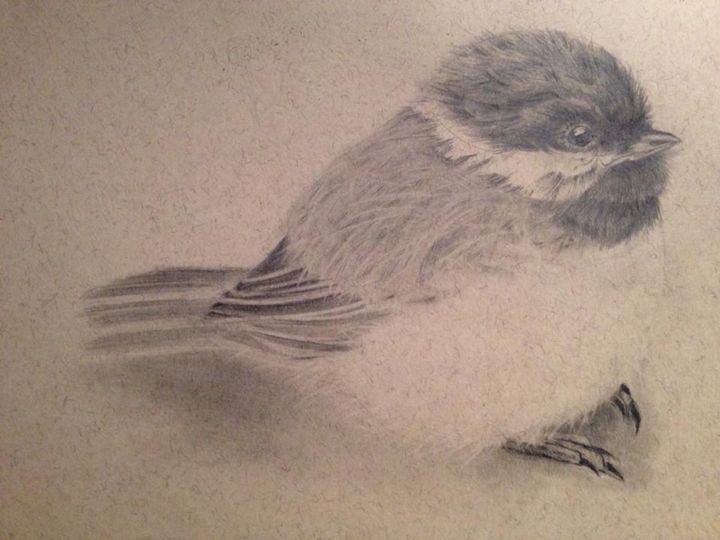 Fat sparrow / Original - WM ART - Drawings & Illustration, Animals ...