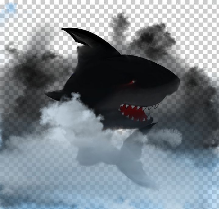 shark got real - Grim Reaper presents, a look inside my mind art an ...
