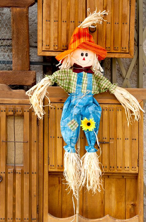 Straw doll - Igor - Photography, Still Life, Toys - ArtPal