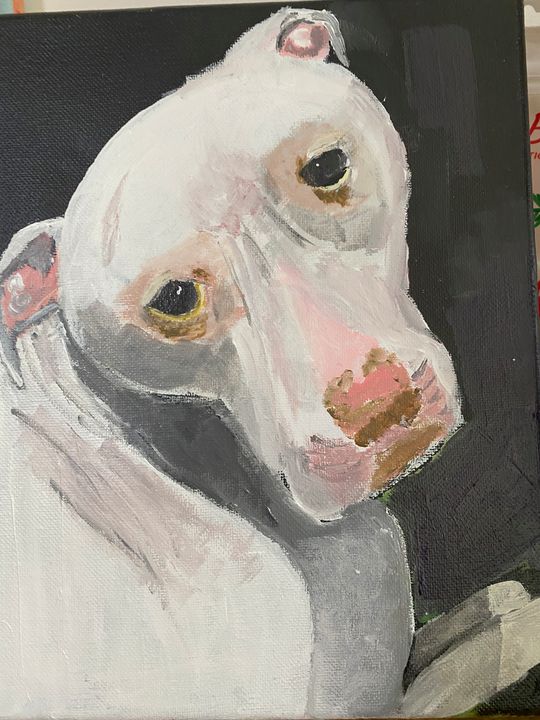 Pinky - Paintings By Glenda - Paintings & Prints, Animals, Birds ...