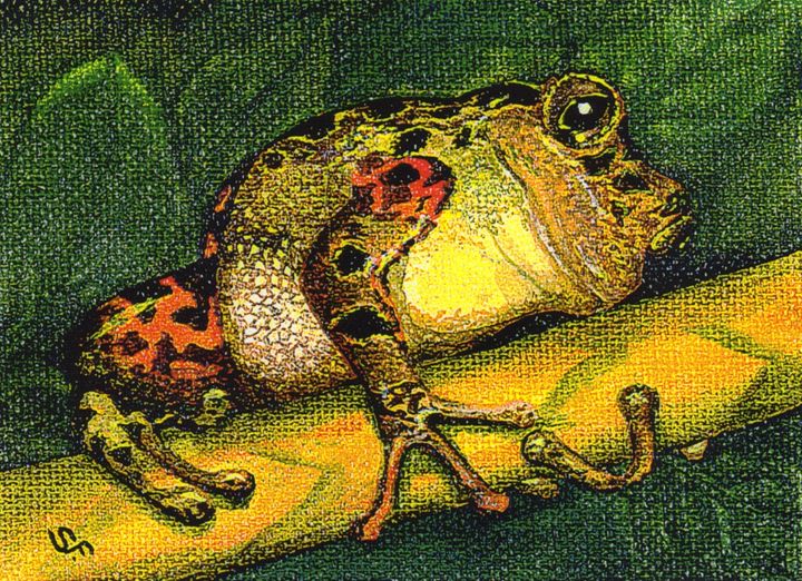 Fat Frog - Pia's Contemporary Art Collection - Paintings & Prints ...