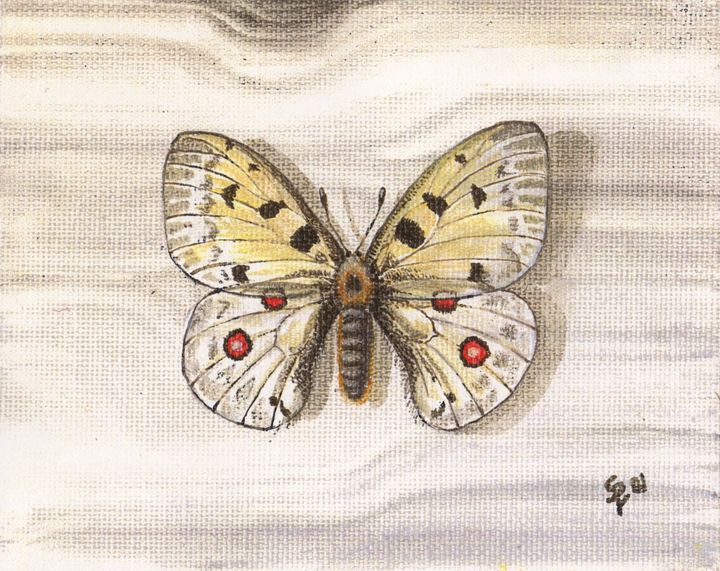 Butterfly on Board - Pia's Contemporary Art Collection - Paintings ...