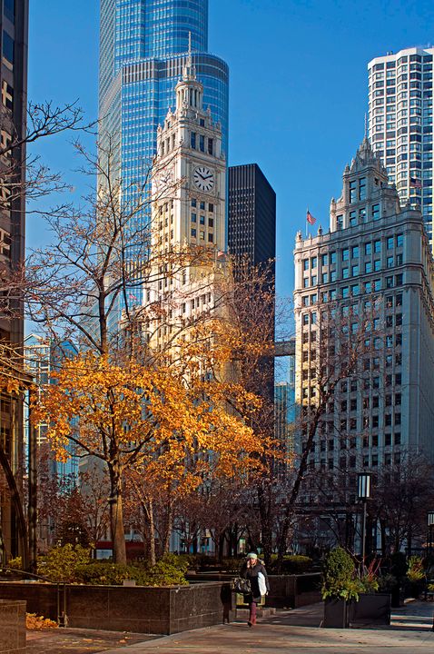 autumn in Chicago - Kay Jay - Photography, Buildings & Architecture ...