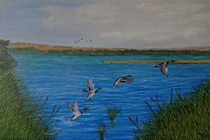 Gregory Shinn - Paintings & Prints