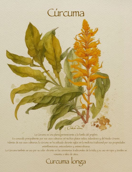 Cúrcuma - J.VandePerre - Digital Art & AI, Flowers, Plants, & Trees ...