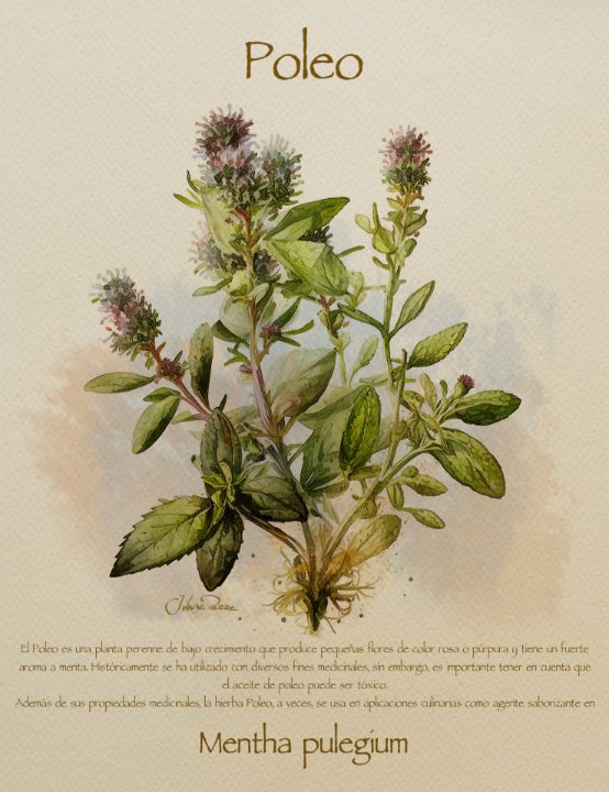 Poleo - J.VandePerre - Digital Art & AI, Flowers, Plants, & Trees ...