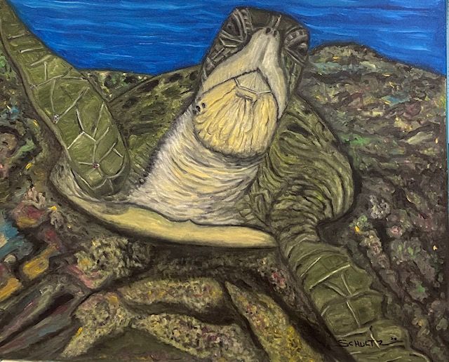 Green Turtle - Schultz Art Gallery - Paintings & Prints, Animals, Birds ...