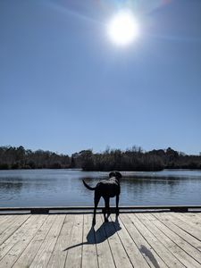 Jennifer Venable - Paintings & Prints, Photography