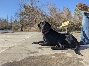 Jennifer Venable - Paintings & Prints, Photography