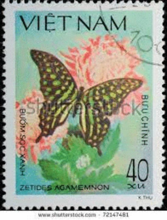 Butterfly - equal page - Digital Art & AI, Science & Technology, Other ...