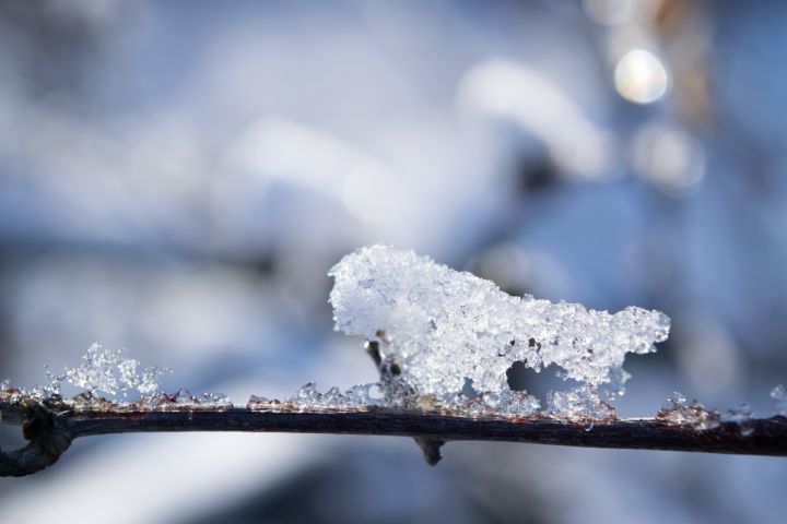 Winter Stroll - Cole Higgins Photography - Photography, Landscapes ...
