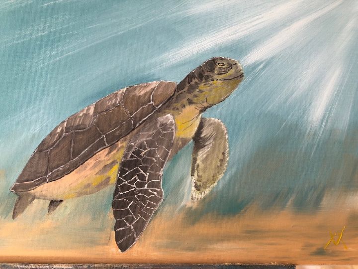 Turtle swimming - Will Moody - Paintings & Prints, Animals, Birds ...