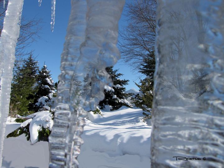 Icicles - Terry Restivo - Photography, Landscapes & Nature, Other ...