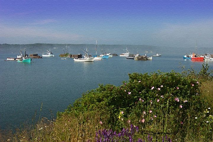 Fisherman's Haven - Terry Restivo - Paintings & Prints, Places & Travel ...