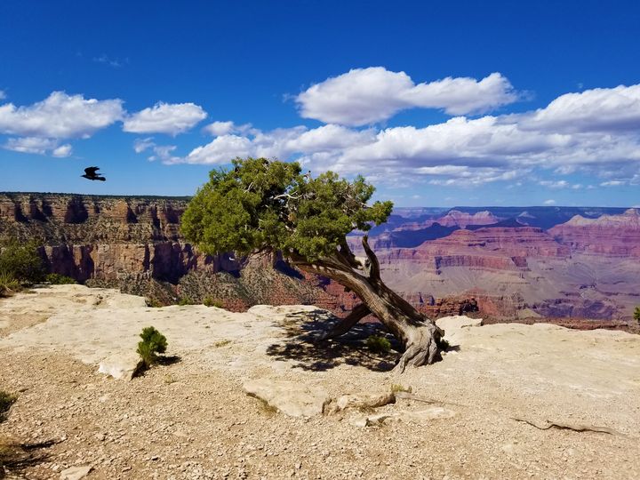 Flying over the Grand Canyon - Terry Restivo - Photography, Landscapes ...