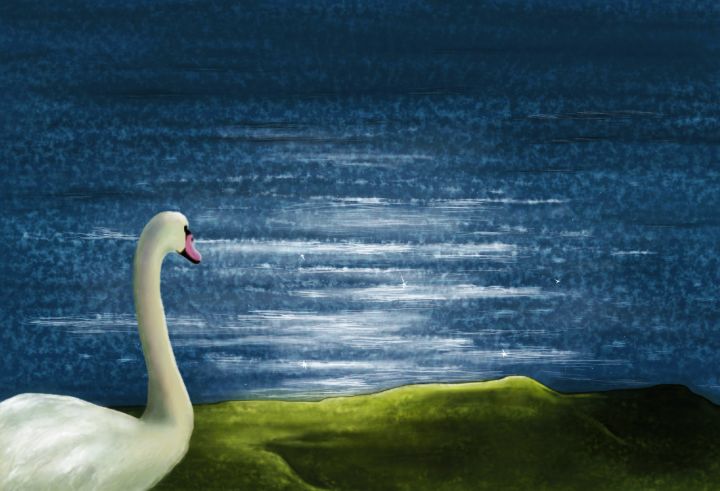 Lonely Swan - Art by Shira - Drawings & Illustration, Animals, Birds ...