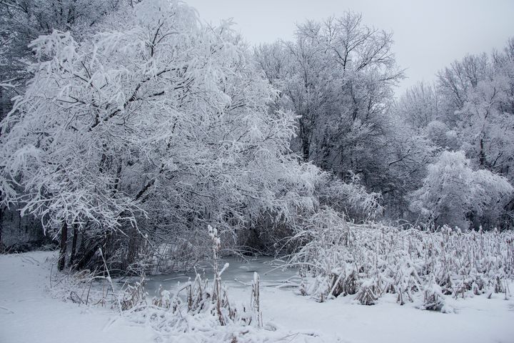 Frozen Wonderland - Francis Froening - Photography, Landscapes & Nature ...